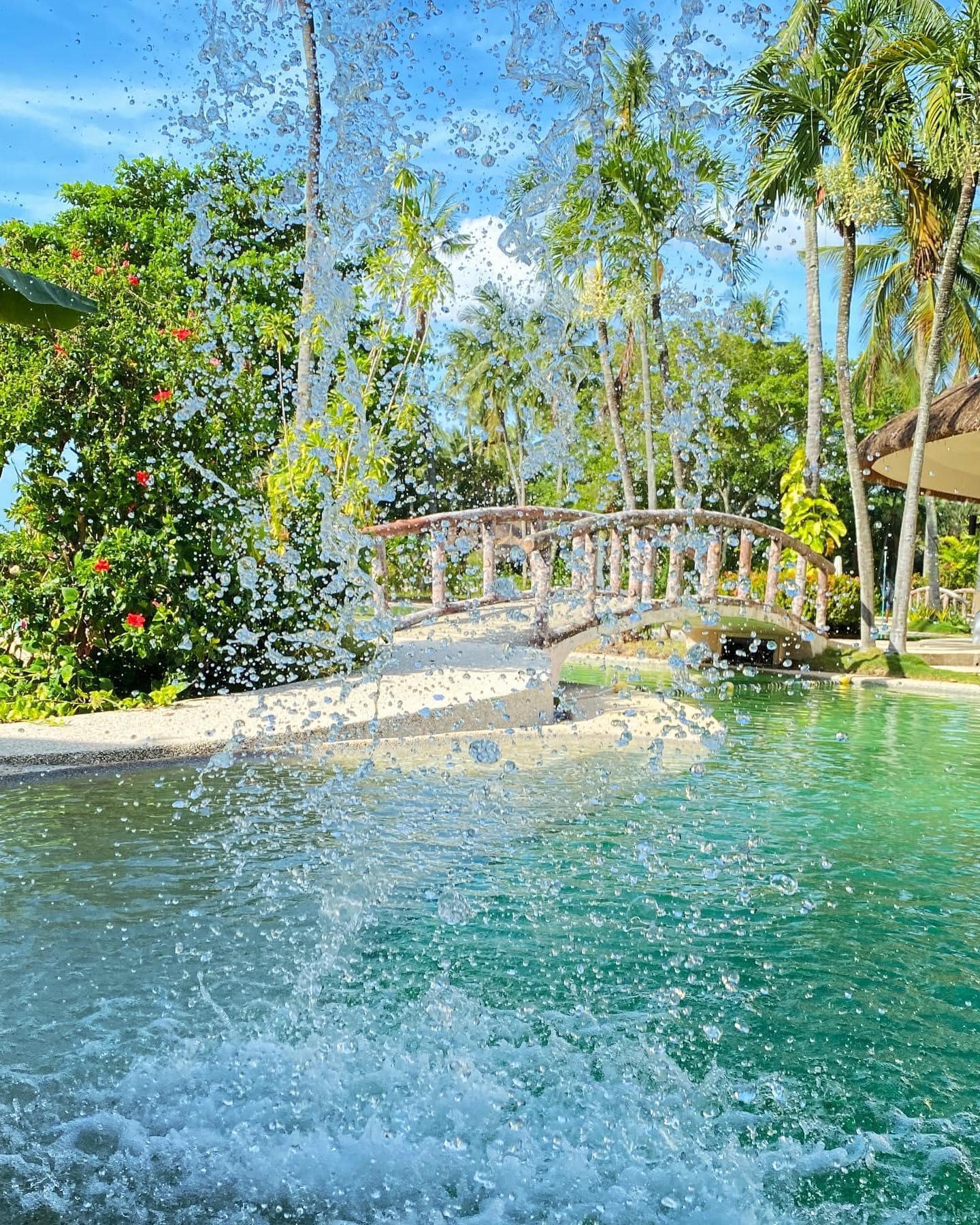 Pulchra Resort: Experience the Warm Embrace from the Heart of One of ...